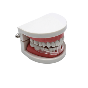 Bruxismus Knirschschiene gegen Zähneknirschen - Dentabrux.ch